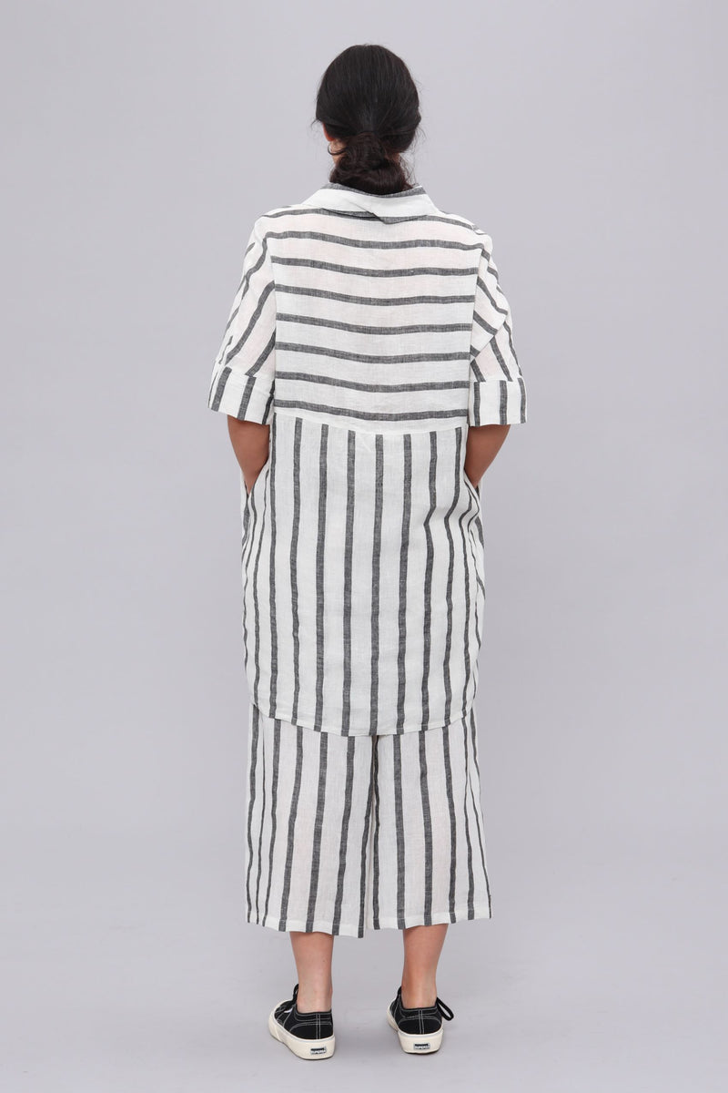 3443 Joy White – Orpheus Australia